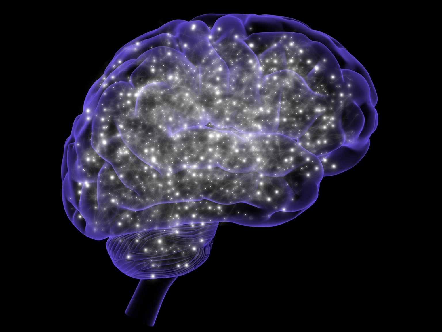 Surprising Discovery: MIT Neuroscientists Find That Adult Brain Is ...