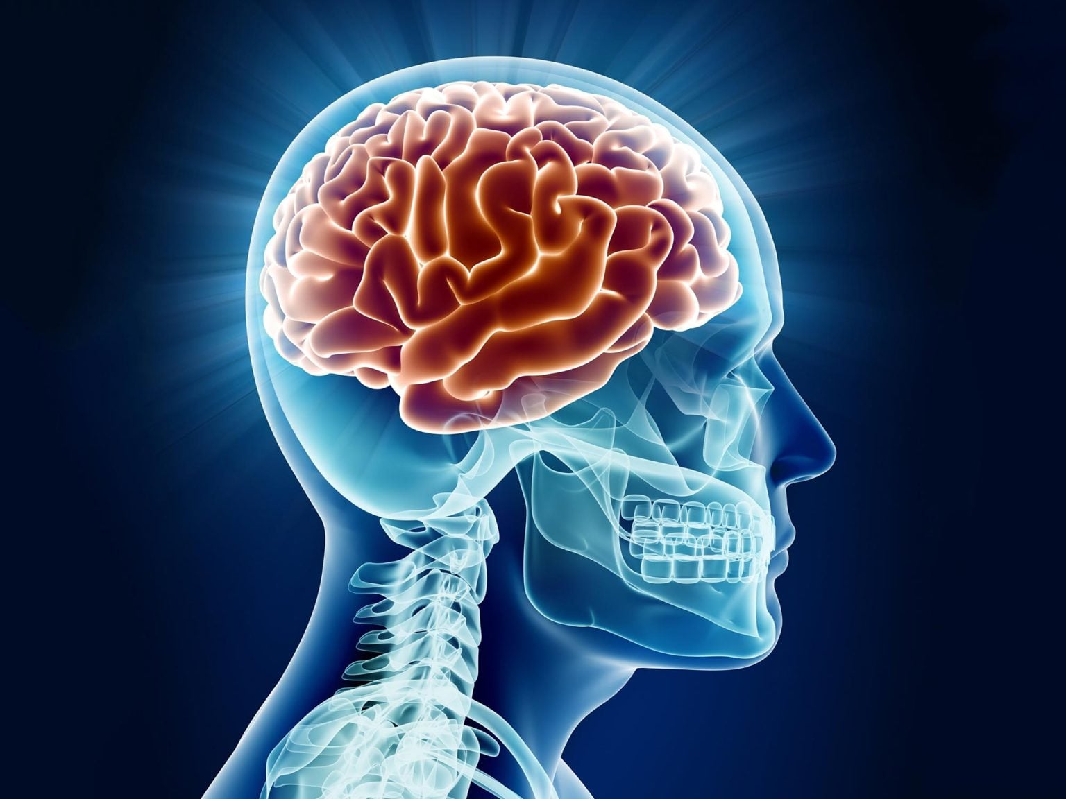 Are We Evolving? New Research Reveals That Human Brains Are Getting Larger