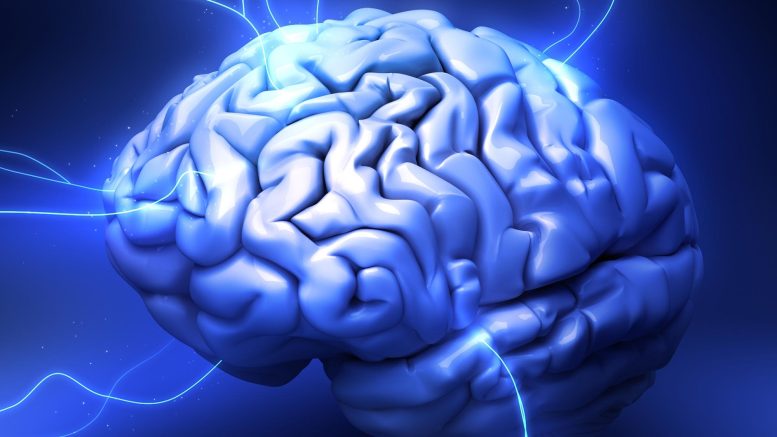 Hunger Affects Behavior and Changes Pathways in the Brain