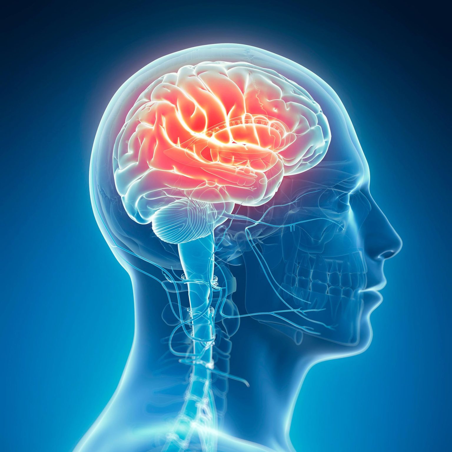 Yale Scientists Identify Potential Treatment for Untreatable “Smooth ...