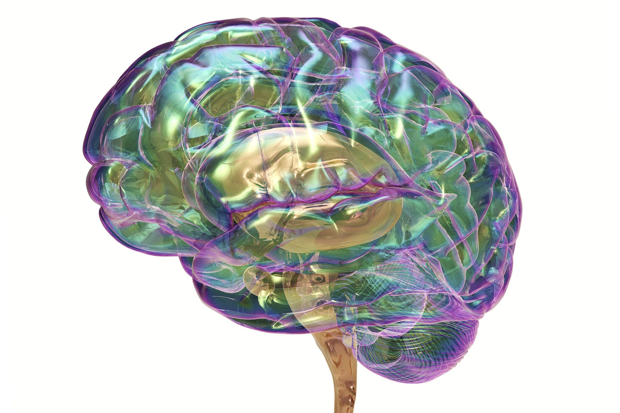 Brains in People With Autism Are More Symmetrical