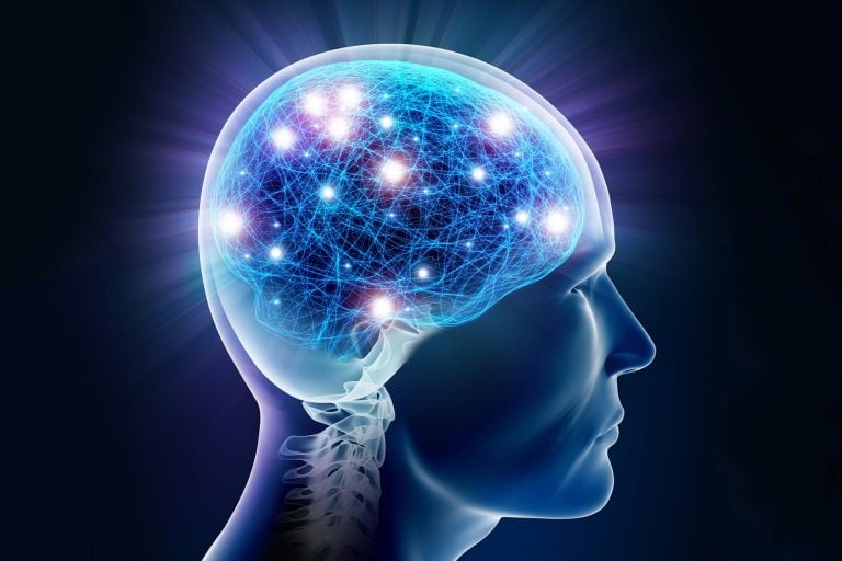 Researchers Discover How the Human Brain Separates, Stores, and ...