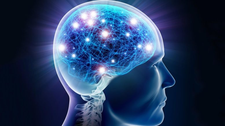 How the Brain Makes Memories and Uses “Time Travel” To Remember