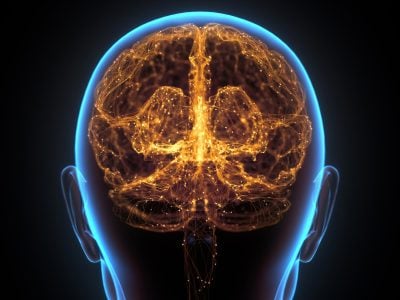 New Clues to Consciousness: Scientists Discover the Brain’s Hidden ...