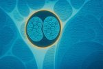 The Most Detailed Map of the Human Cell Ever Made – Powered by AI and ...