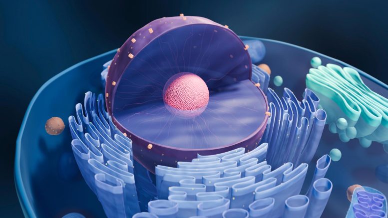 NASA Sees Tides Under the Ocean’s Surface [Video]