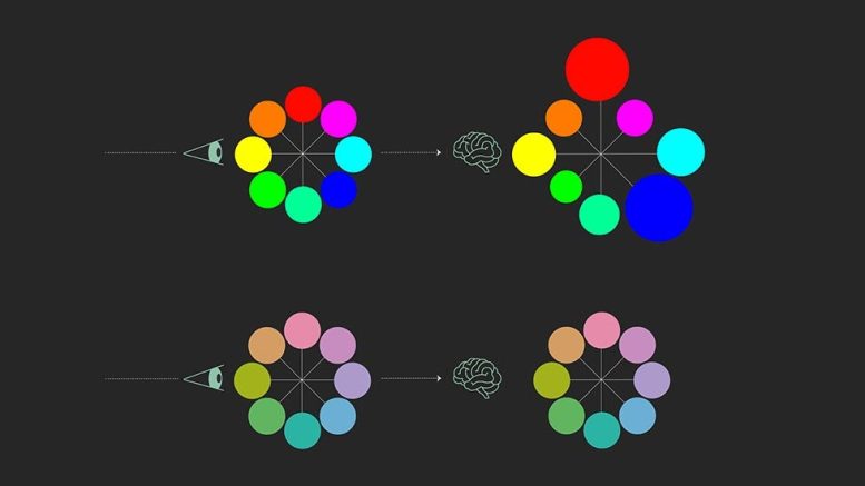 Scientists Just Showed That Color-Changing Brittle Stars Can See, Even ...