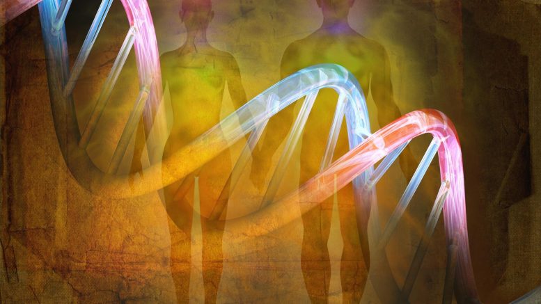 Science News & Research Discoveries - SciTechDaily