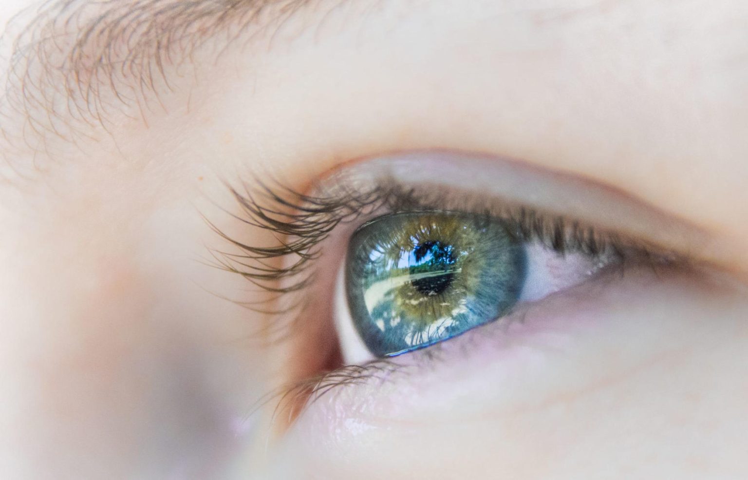 Unlocking the Secrets of the Gaze: What Our Eyes Reveal About Us