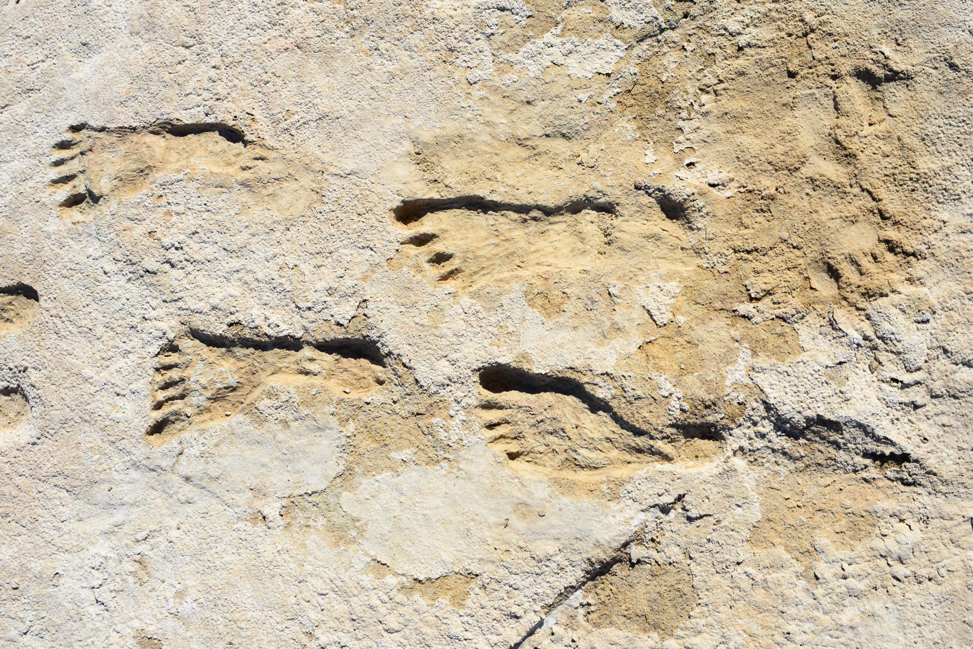 “Strange” – Scientists Discover Ghostly 23,000-Year-Old Human ...