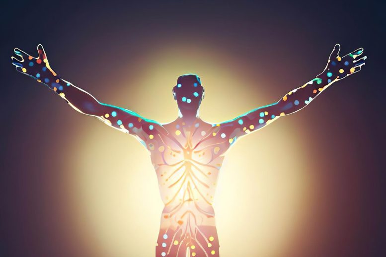 Human Genetic Anomalies