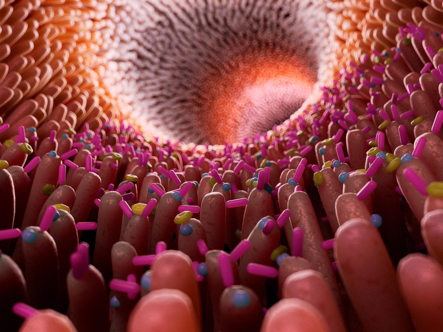 Scientists Discover That Binge-Eating Sweet Treats Is Influenced by Gut ...