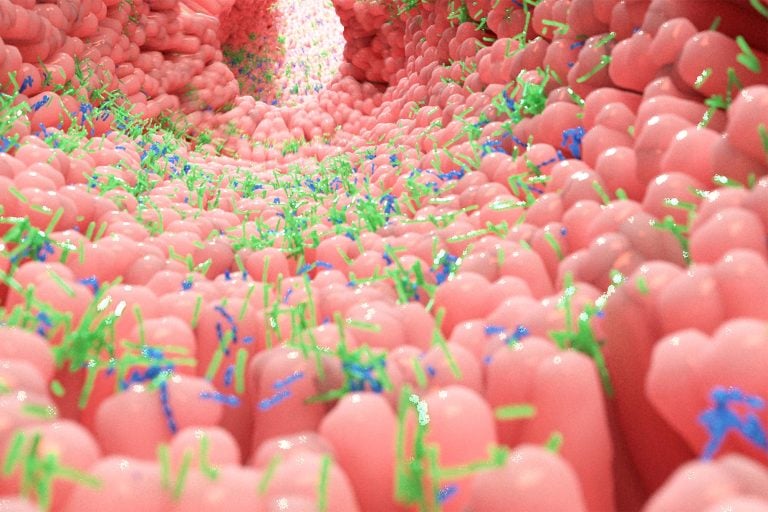 These Tiny Gut Particles Could Be Accelerating Aging Throughout the Body
