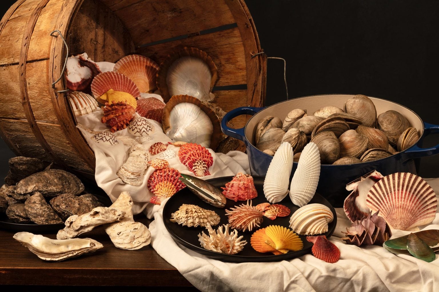 Over 800 Human-Harvested Shellfish Species and Their Remarkable ...
