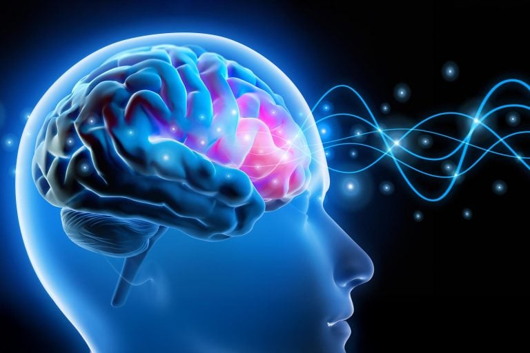 The Rhythm in Your Brain That Draws the Line Between You and the World