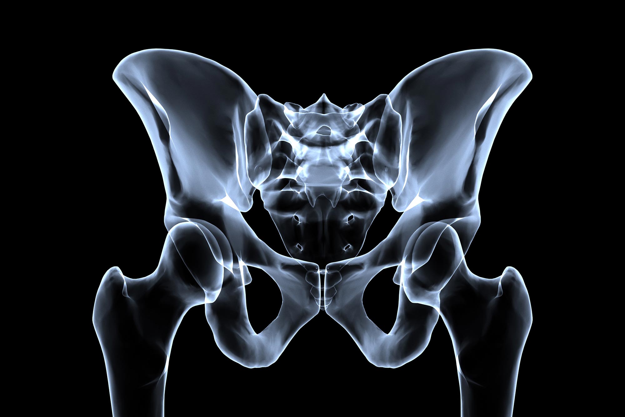 Why Do Humans Walk Upright? Harvard Biologists Reveal the Secret