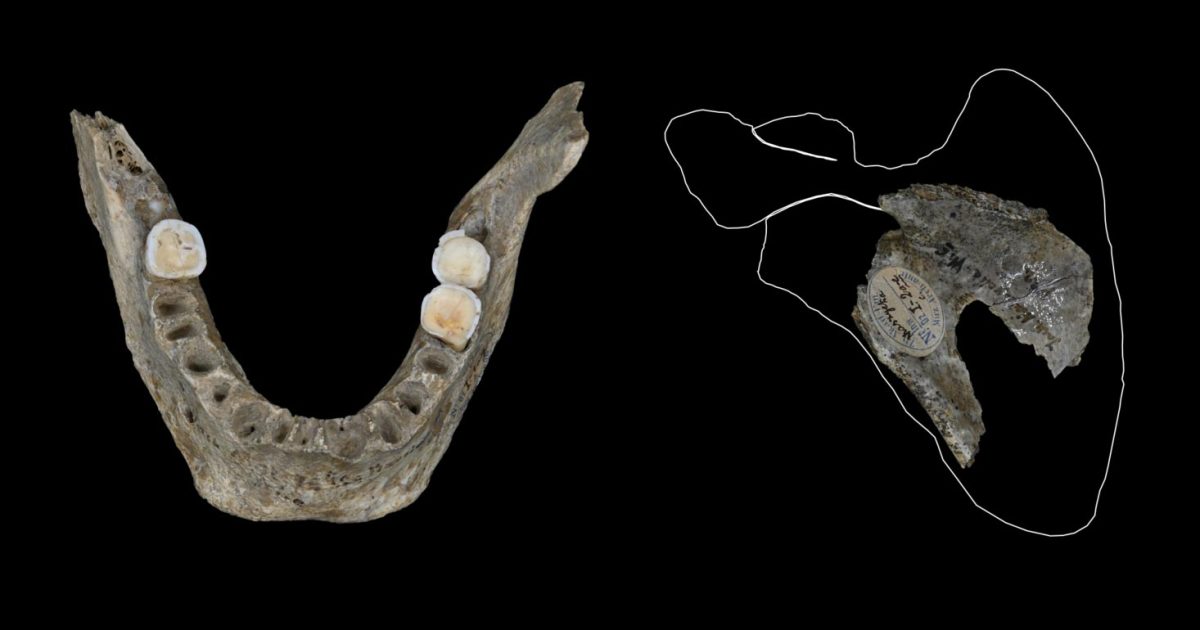18,000-Year-Old Human Bones Show Disturbing Signs of Cannibalism