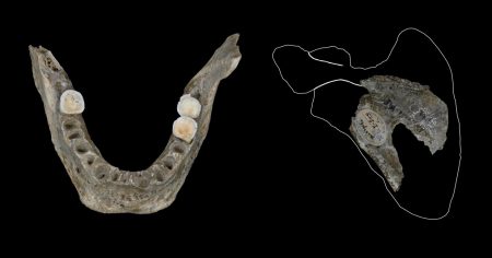 18,000-Year-Old Human Bones Show Disturbing Signs of Cannibalism