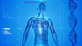 Health & Medical News & Research Discoveries - SciTechDaily