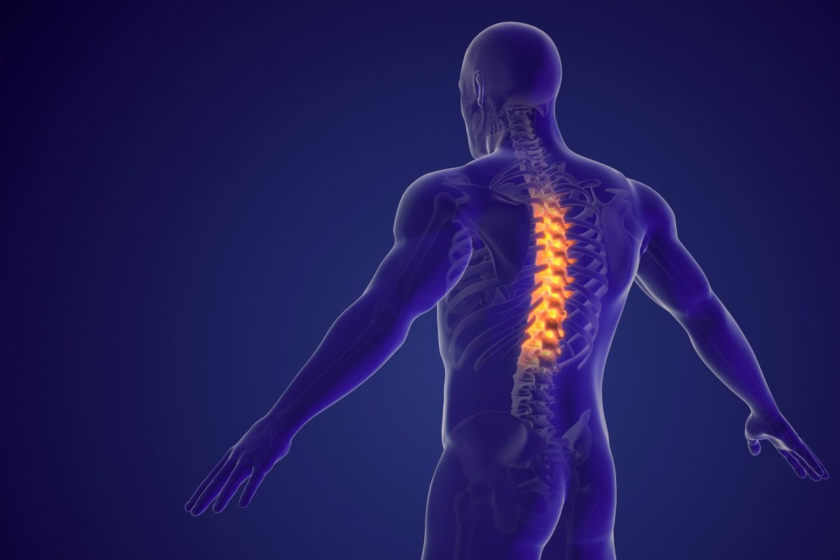 Astonishing Healing Powers of Zebrafish Could Revolutionize Spinal Cord ...