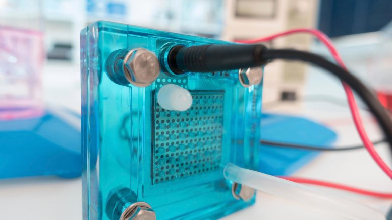 Chemistry News, Research Breakthroughs & Discoveries - SciTechDaily