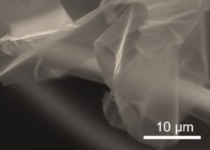 Researchers Use Gelatin to Make Powerful New Hydrogen Fuel Catalyst