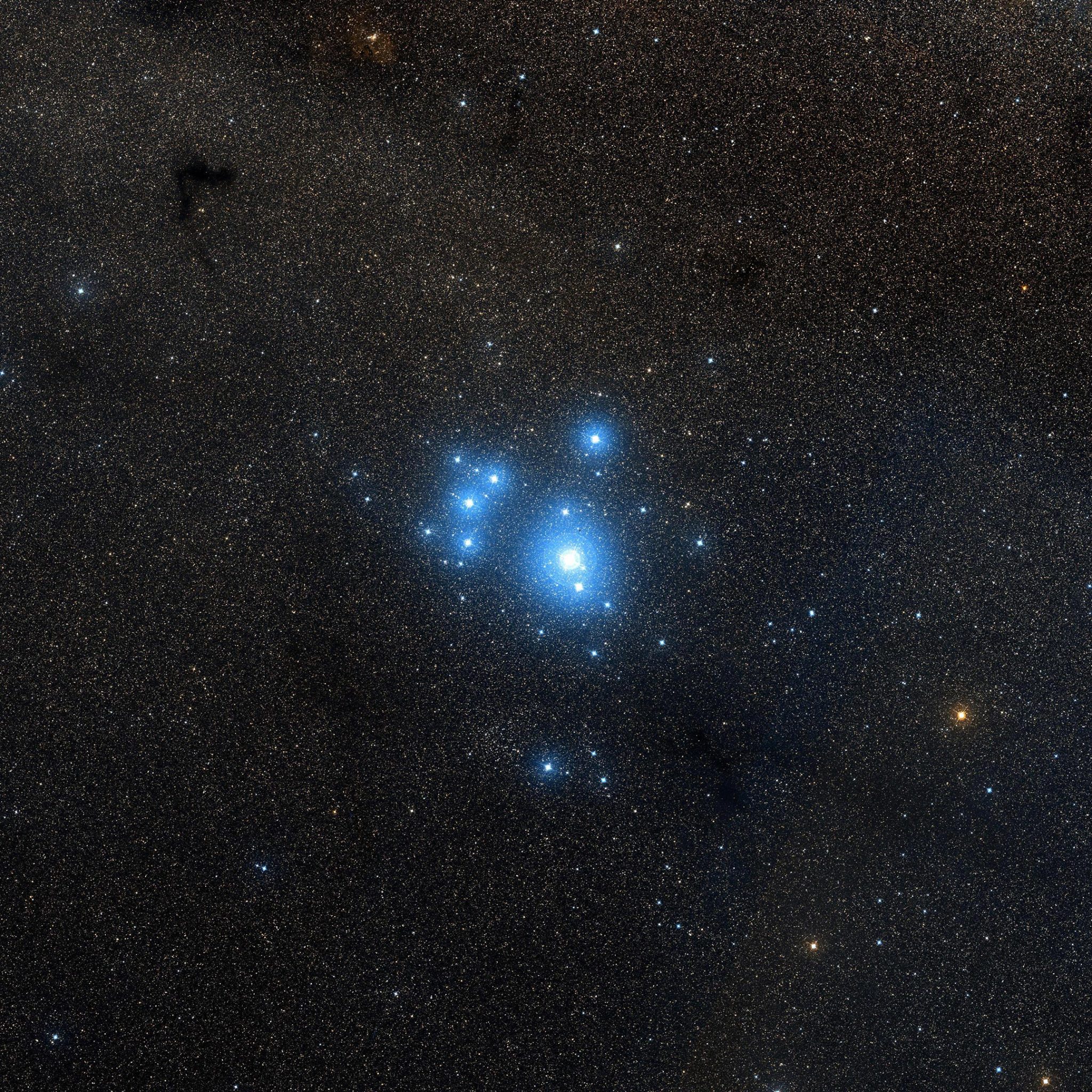 Galactic Bloodlines: The Surprising Ancestry of Nearby Star Clusters