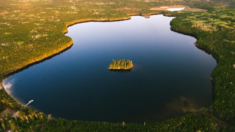 The Aquatic Network: Freshwater Connectivity Transports eDNA Through ...