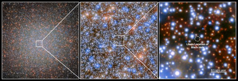 Discovery in Omega Centauri: The Missing Link to Massive Black Hole ...