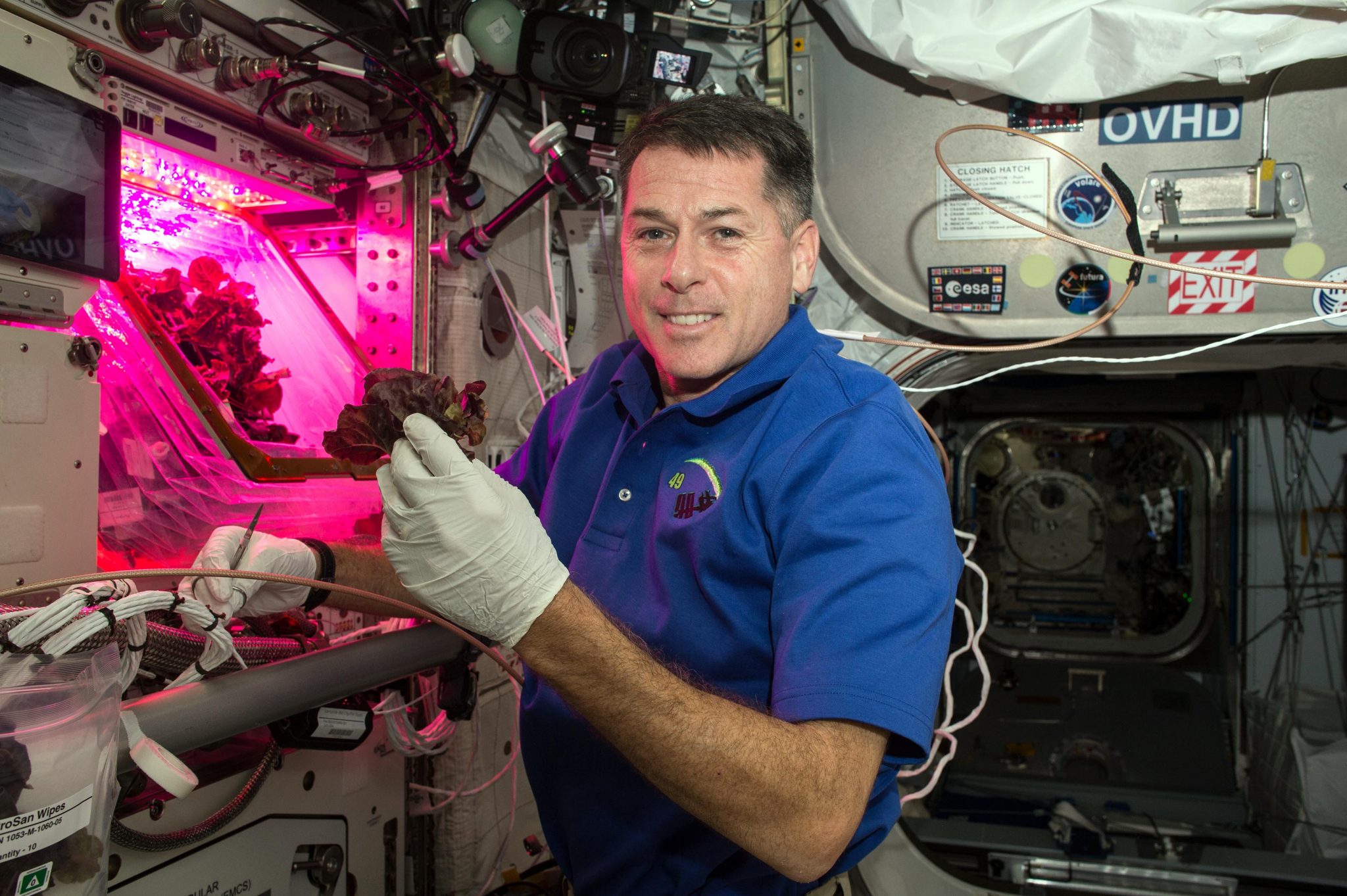 Space Lettuce – Growing Nutritious and Safe Crops for Long-Distance ...