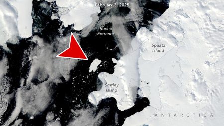 A Chicago-Sized Iceberg Breaks Loose and Scientists Are Tracking Its ...