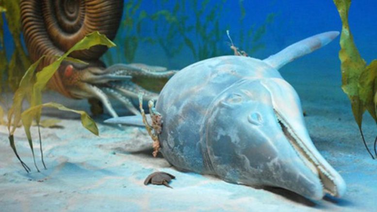 Earth’s First Giant: Newly Discovered Species of Ichthyosaur Was ...