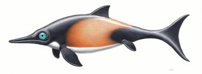 Scientists Discover Fish-Like Marine Reptile Buried in Its Own Blubber ...