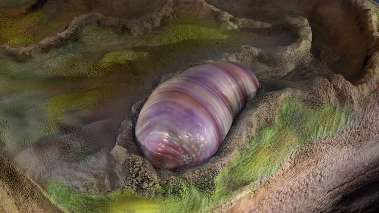 When Did Animals Leave Their First Footprint on Earth?