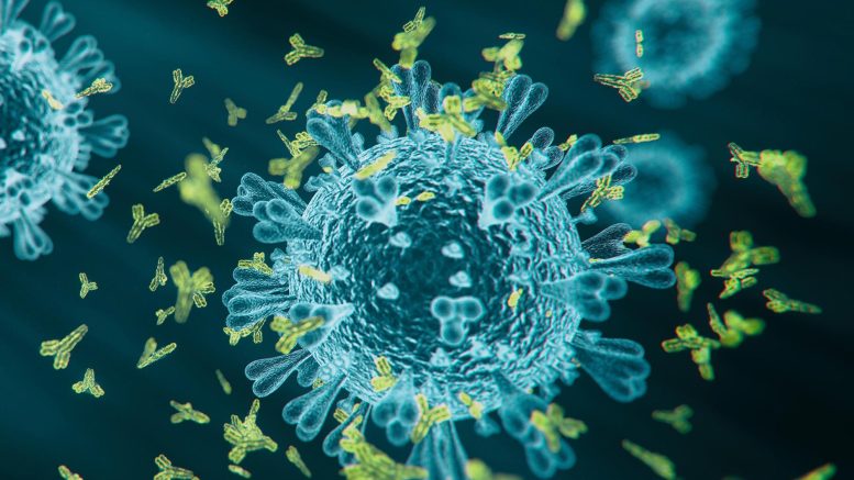 How Three Mutations Work Together To Spur New COVID-19 Variants