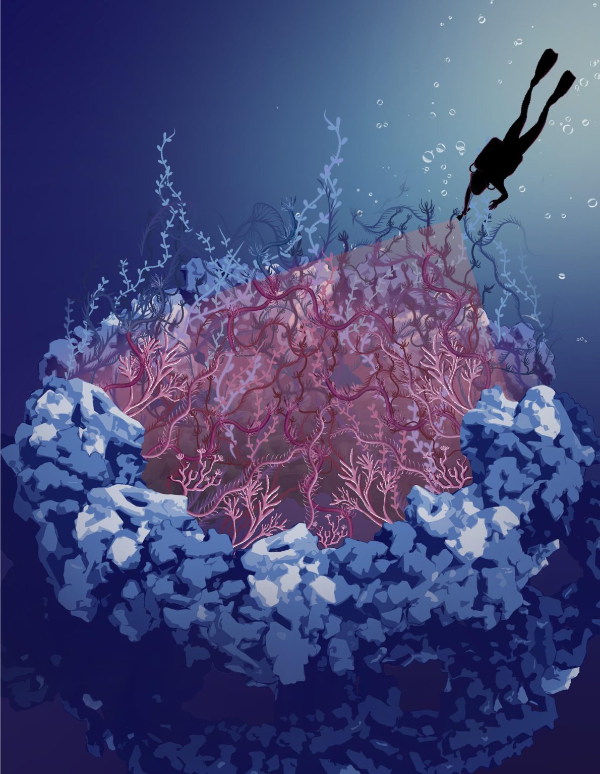 Unlocking the Secrets of the Cell: Scientists “Dive” Into the Dark Hole ...