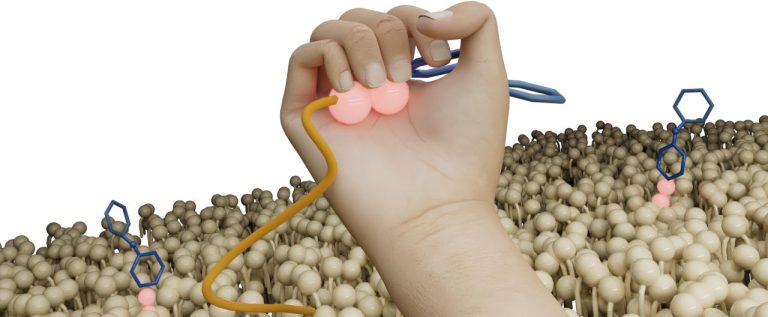 New Antibiotic Could Be a Powerful Weapon Against Superbugs – NanoApps ...