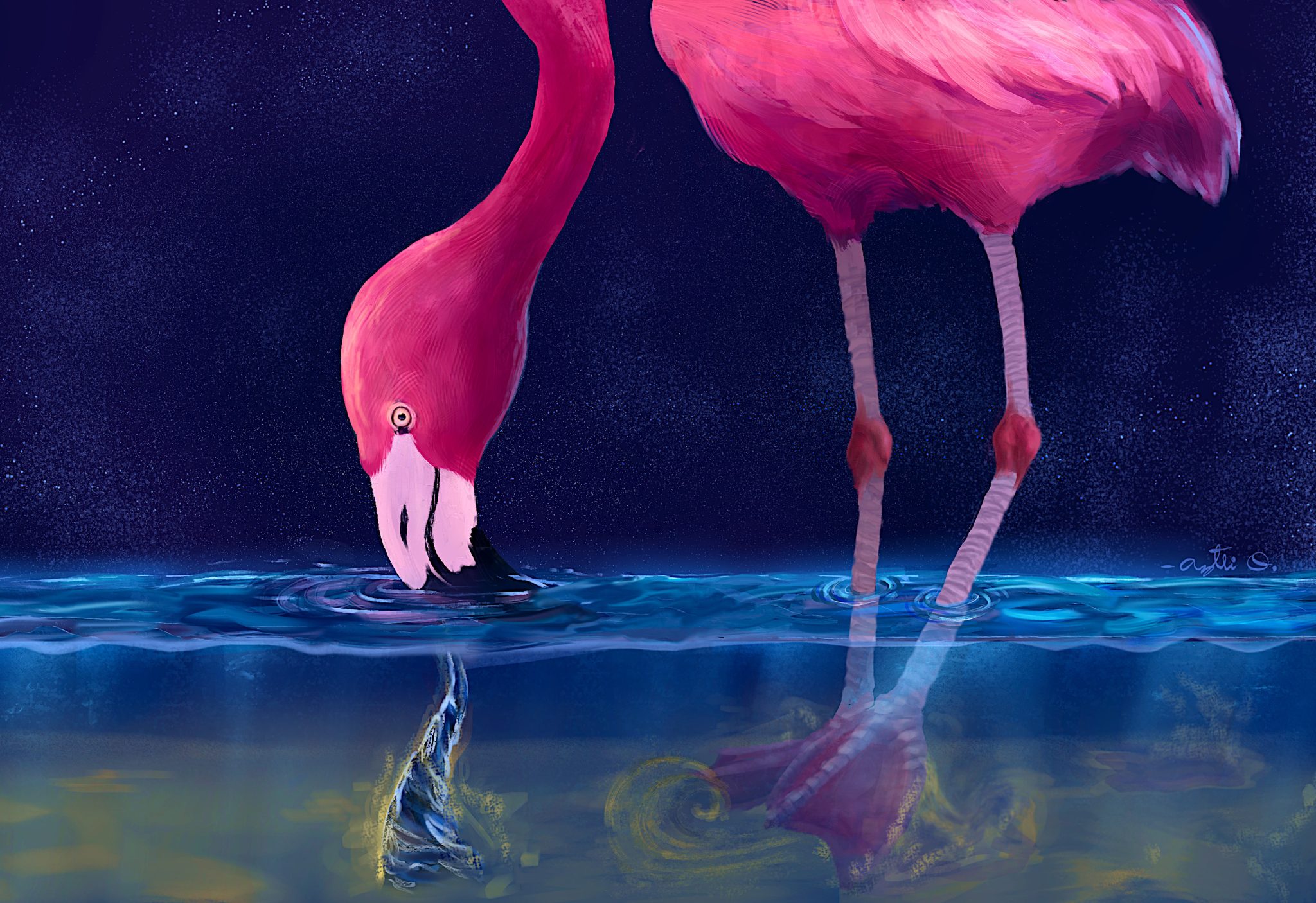 Water Tornadoes? Flamingos Use This Clever Trick To Trap Prey