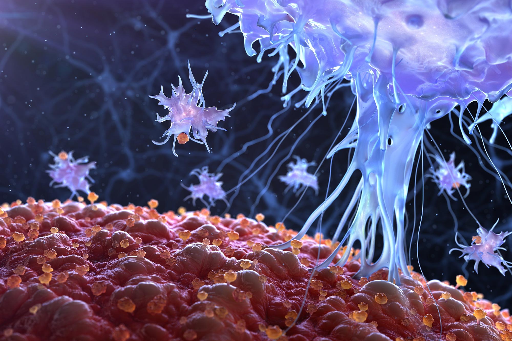Nanomaterial Graphene Oxide Can Affect The Immune System Via The Gut