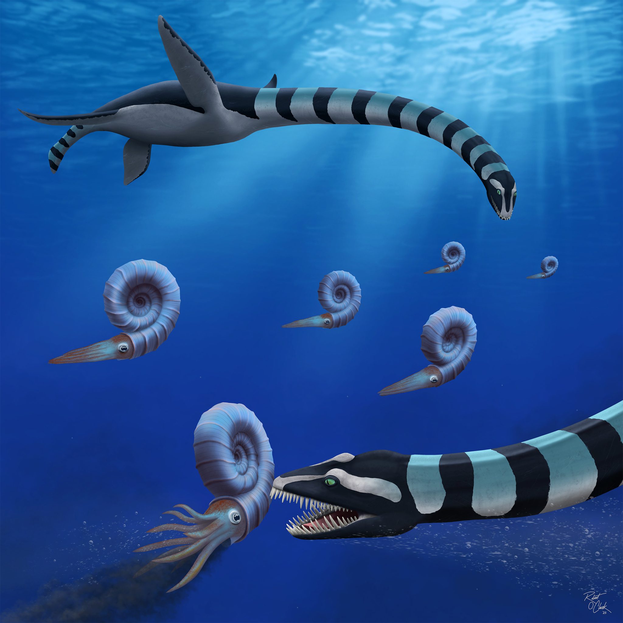 “Very Odd” New Sea Monster Identified After Decades of Mystery