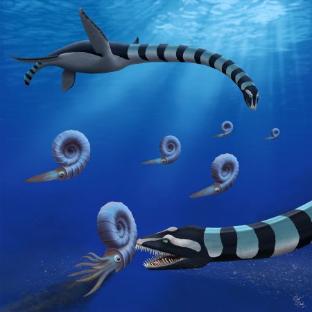 “Very Odd” New Sea Monster Identified After Decades of Mystery