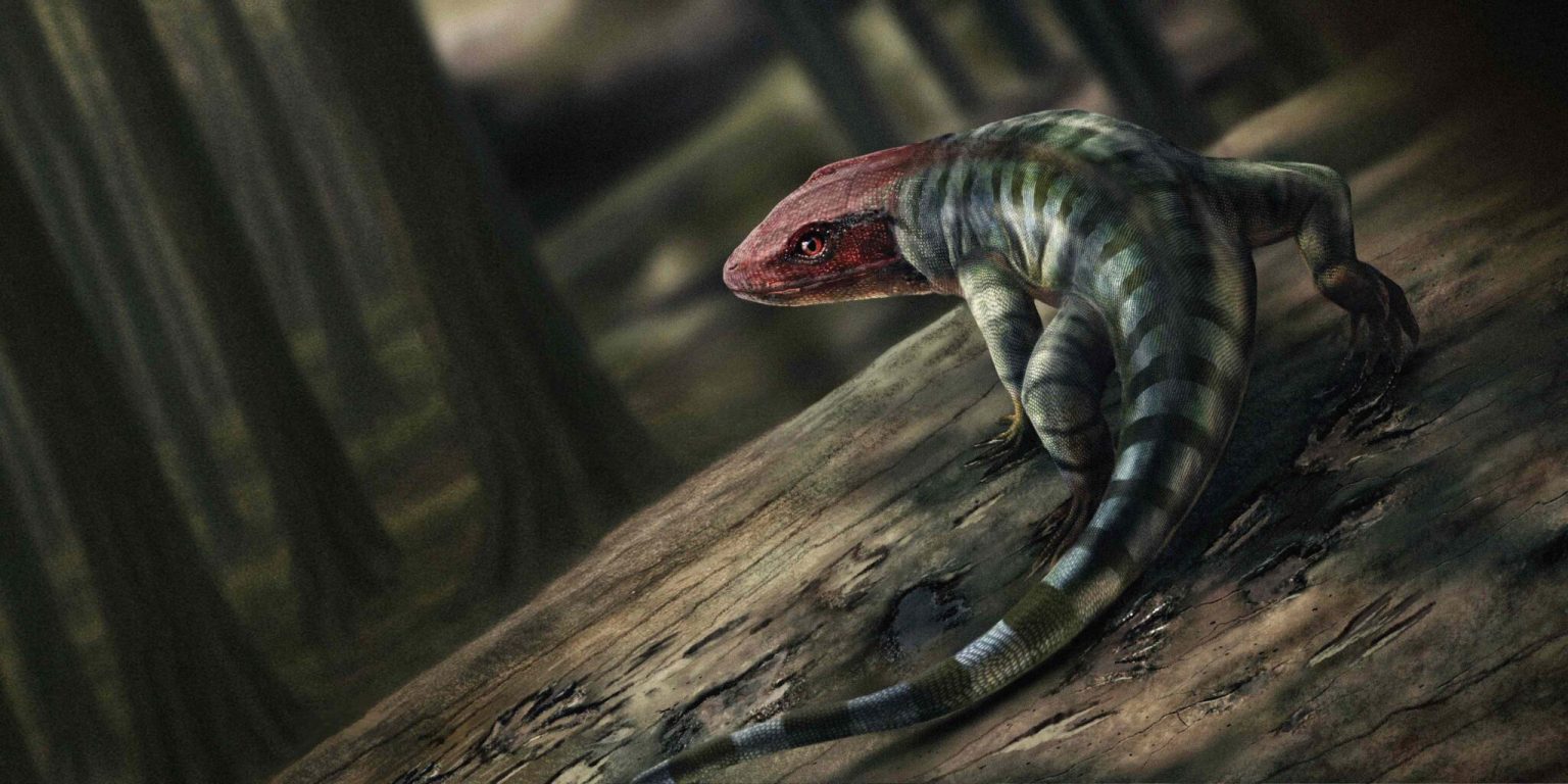 Game-Changing Fossil Discovery Reveals That Reptiles Appeared on Earth ...