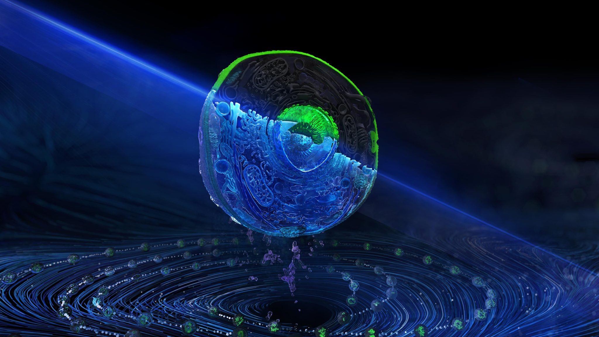 Researchers Design Cell-Sorting Microchip