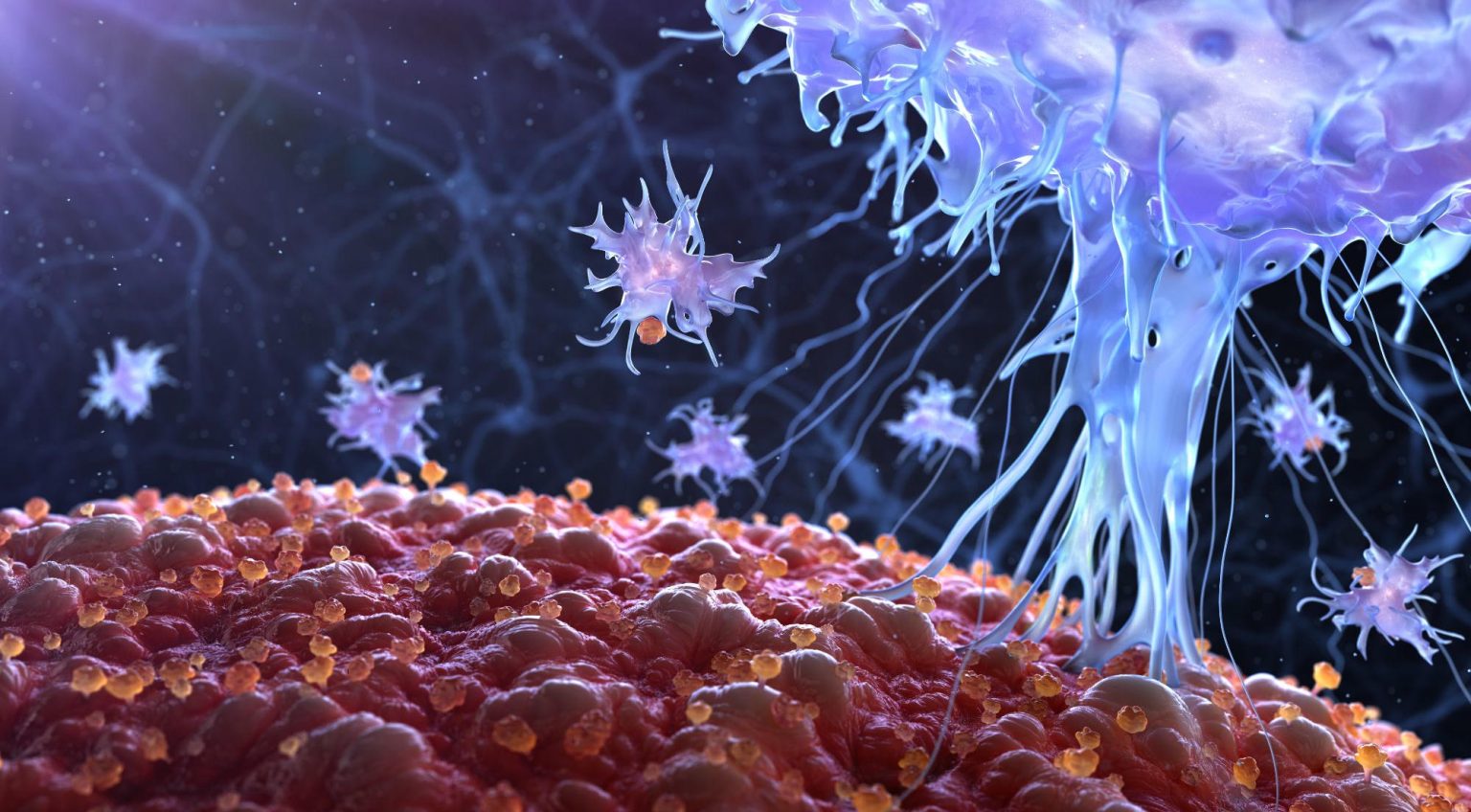 Scientists Discover New Way To Boost the Immune System