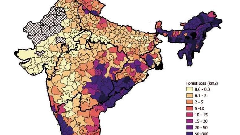 Tipping Point Identified for Deforestation That Leads to Rapid Forest Loss