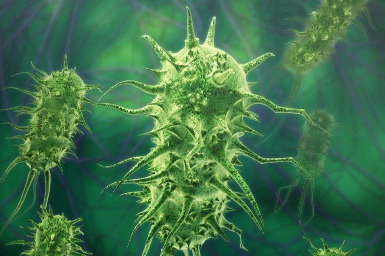 Yale Researchers Discover New Bacterial Strain Causing Widespread ...