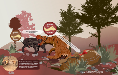Dawn of the Apex Predator: How Ancient Carnivores Evolved To Dominate Land
