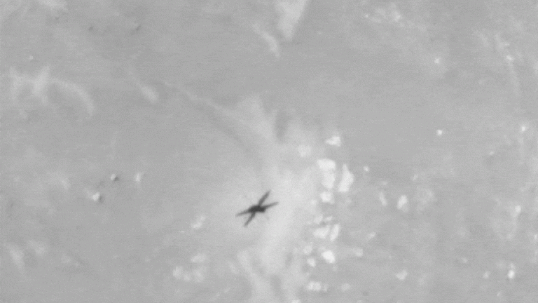 Scientific Reports - SciTechDaily