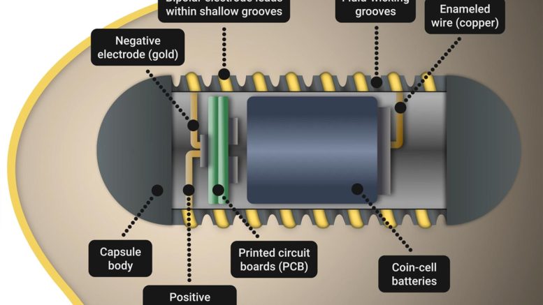 FLASH Capsules: First-Ever Ingestible Electroceutical to Control ...