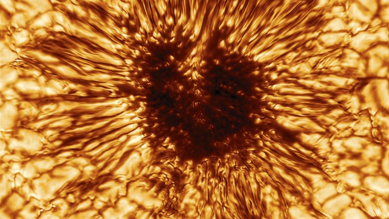 NASA’s Solar Dynamics Observatory Views a Spotless Sun
